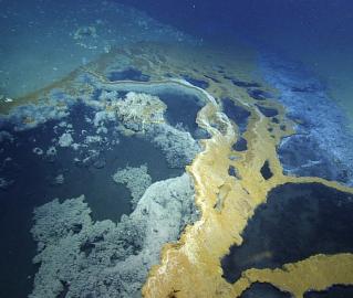 Brine Pool Formation | Nautilus Live