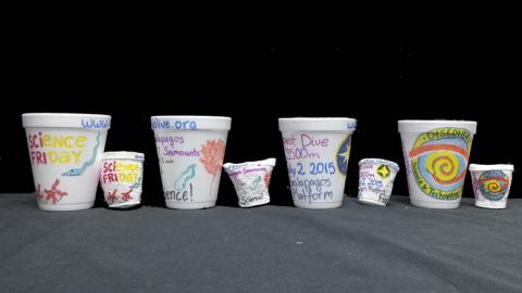 Compressed Styrofoam Cups Teaching Graphic | Nautilus Live