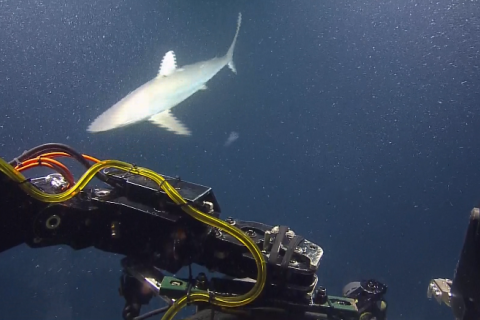 Benthic Lander Recovery | Nautilus Live