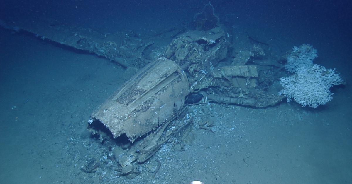 WWII Airplane | Nautilus Live