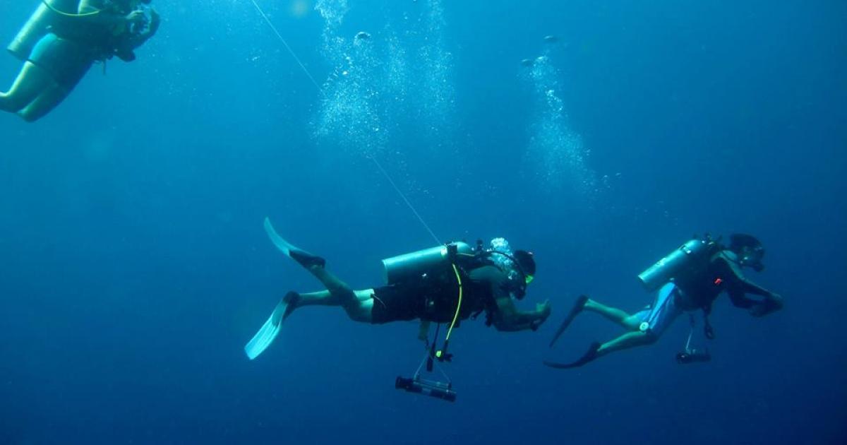 Champagne Reef SCUBA Dive | Nautilus Live