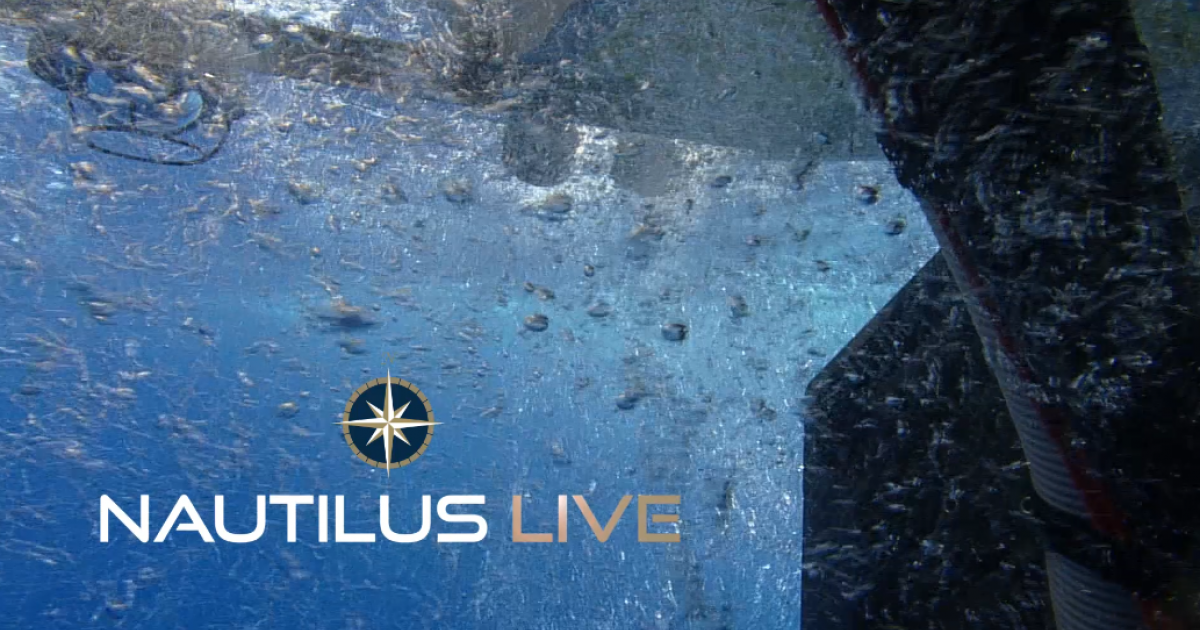 2015 Season Overview | Nautilus Live 2015 Season Overview | Nautilus Live