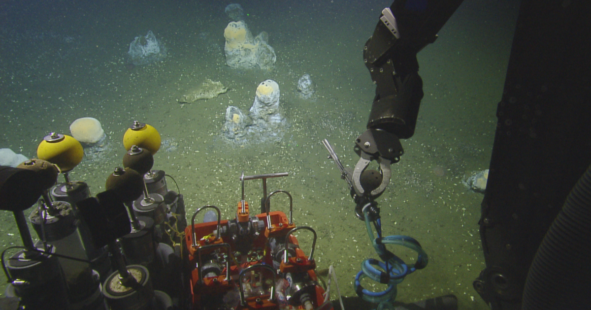 Using New Tools & Technologies to Explore Methane Seeps | Nautilus Live