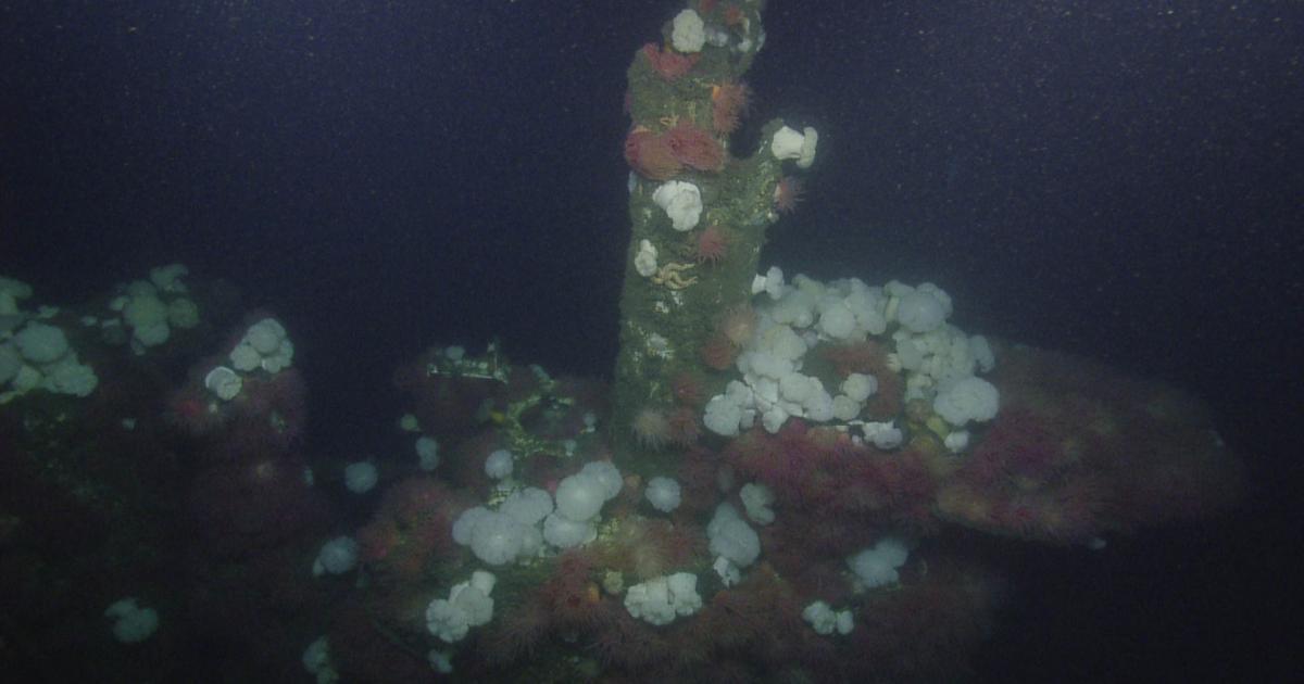 Rediscovering History: Submarine USS Bugara | Nautilus Live