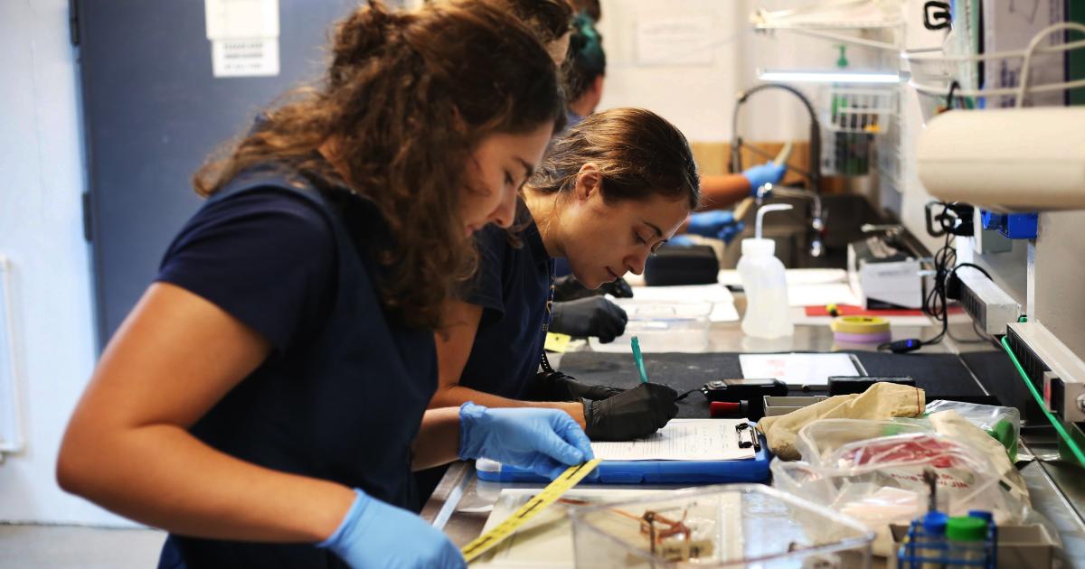 Data Logger Career Profile | Nautilus Live