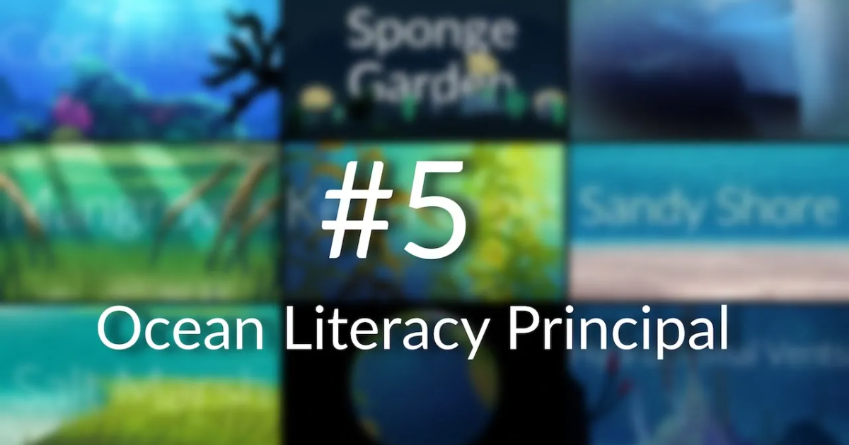 Ocean Literacy Principle 5: The Ocean Supports Earth’s Diversity ...