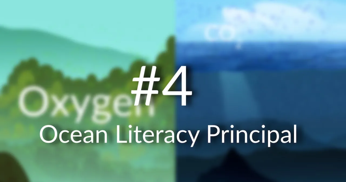 Ocean Literacy Principle 4: The Ocean Makes Earth Habitable | Nautilus Live