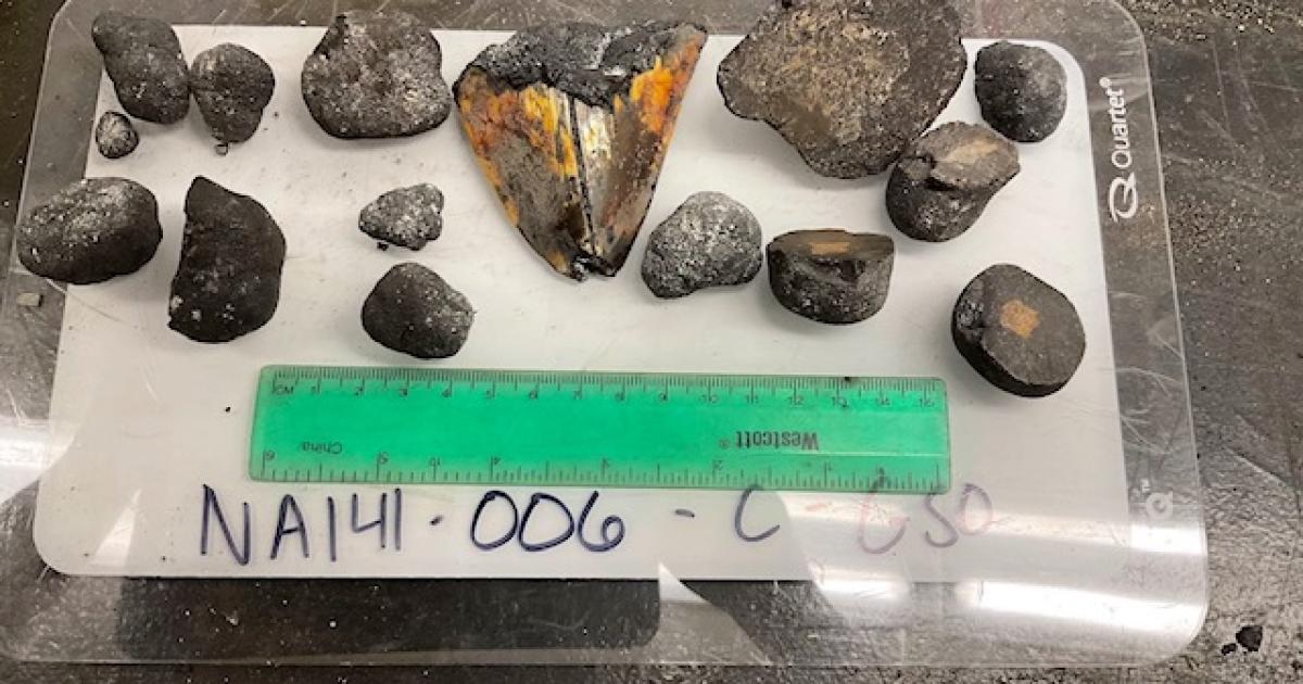 New Study Documents First in-situ Discovery of Fossil Megalodon Tooth ...