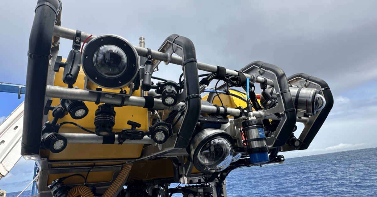 Widefield Camera Array | Nautilus Live