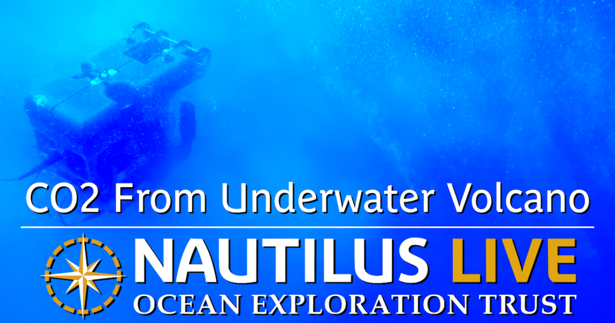 Beautiful CO2 Bubbles From Underwater Volcano | Nautilus Live
