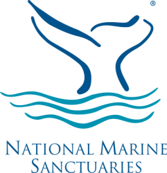 Office of National Marine Sanctuaries | Nautilus Live